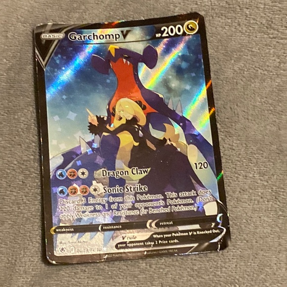 Accessories | Pokmon Garchomp What Makes It Really Rare Is Because It ...